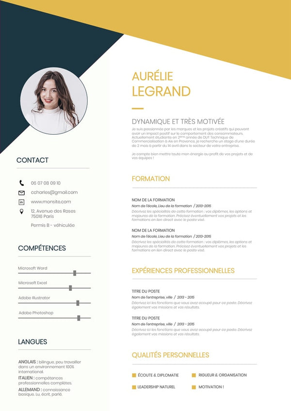 Modele Cv Nova CV LeadCompass