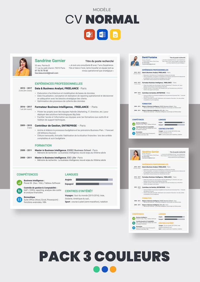 CV NORMAL - Modèle de CV simple (Télécharger) | CV Market